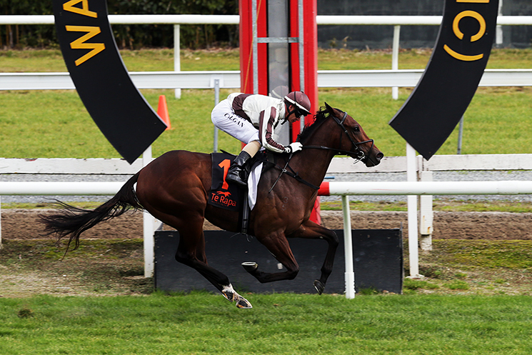 Pike launches another attack at Brisbane