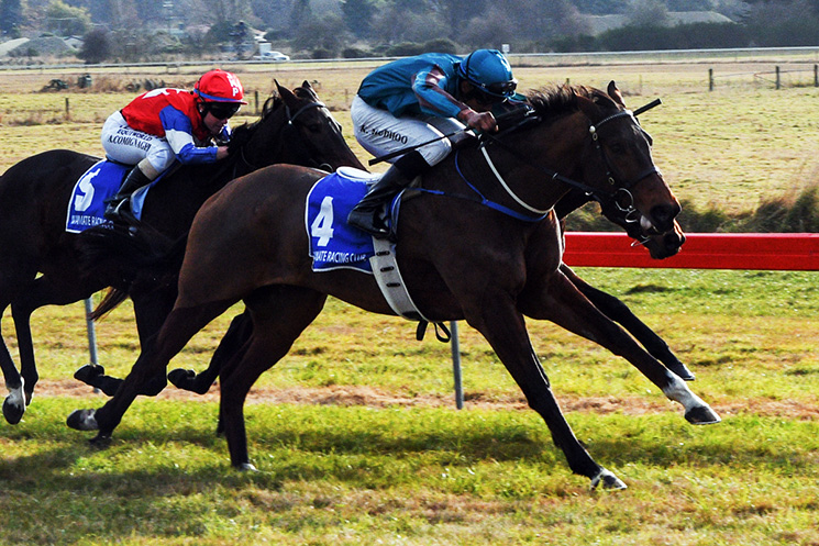 Mudhoo brings up century