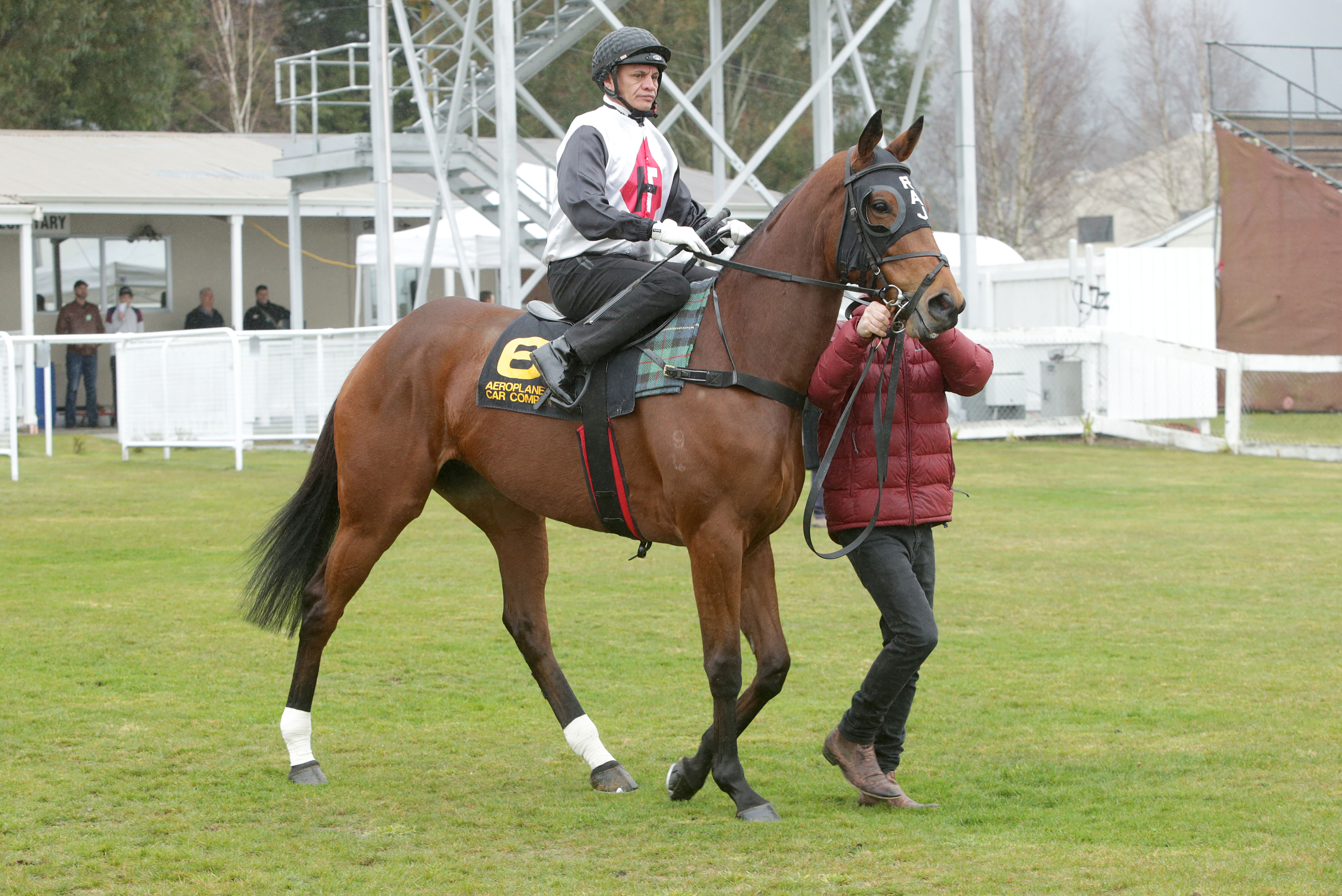 Rondinella on Cox Plate path