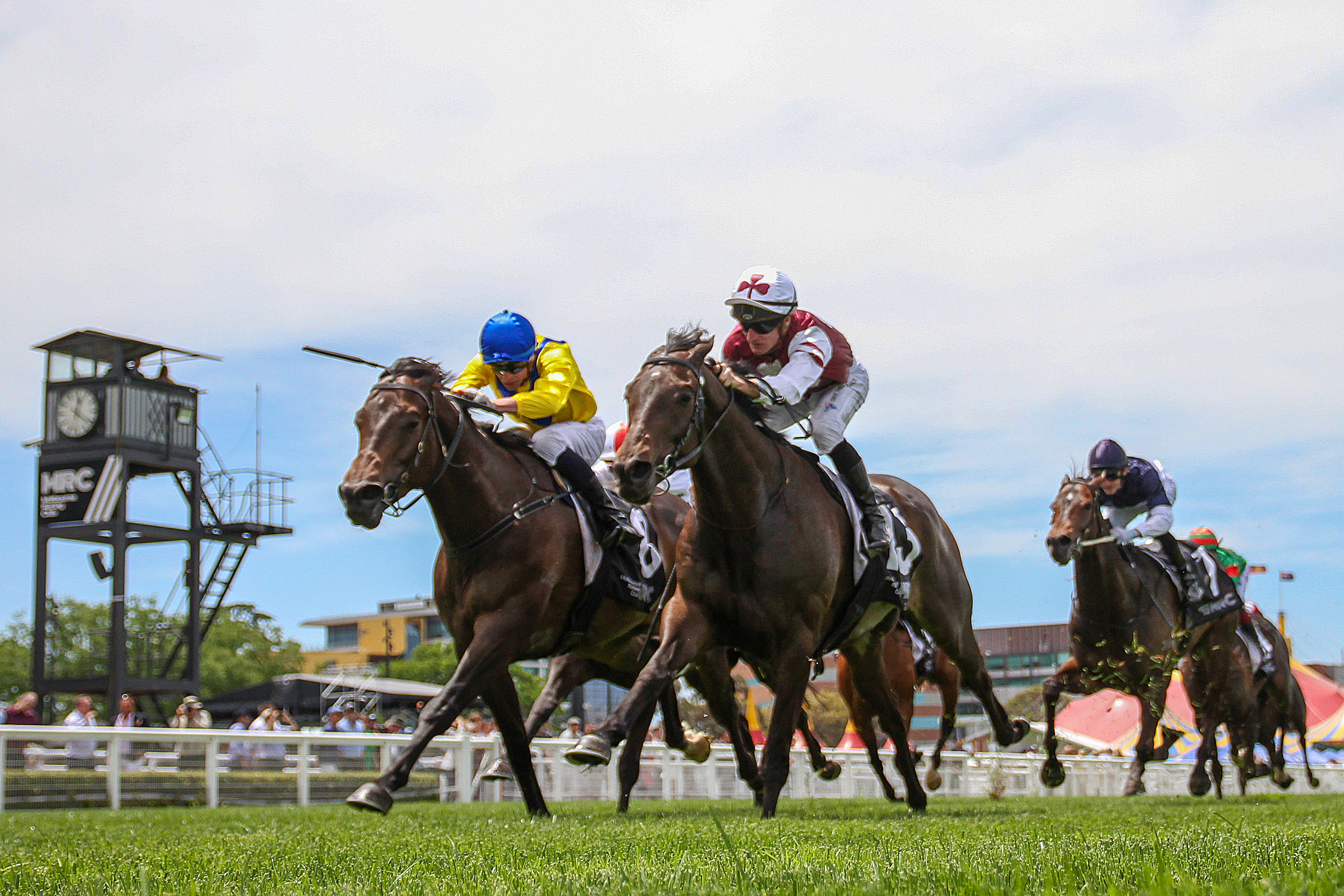 Progressive Ruakaka Raider scores at Caulfield