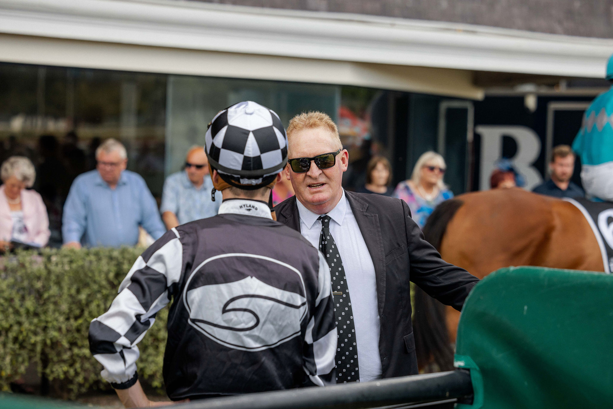 Two-year-old strong local hope at New Plymouth