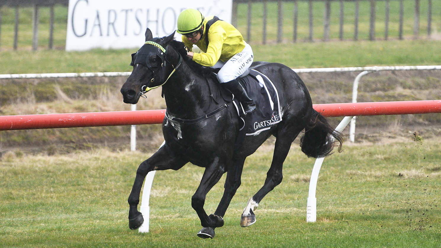 Spratt ride does the trick at Tauranga