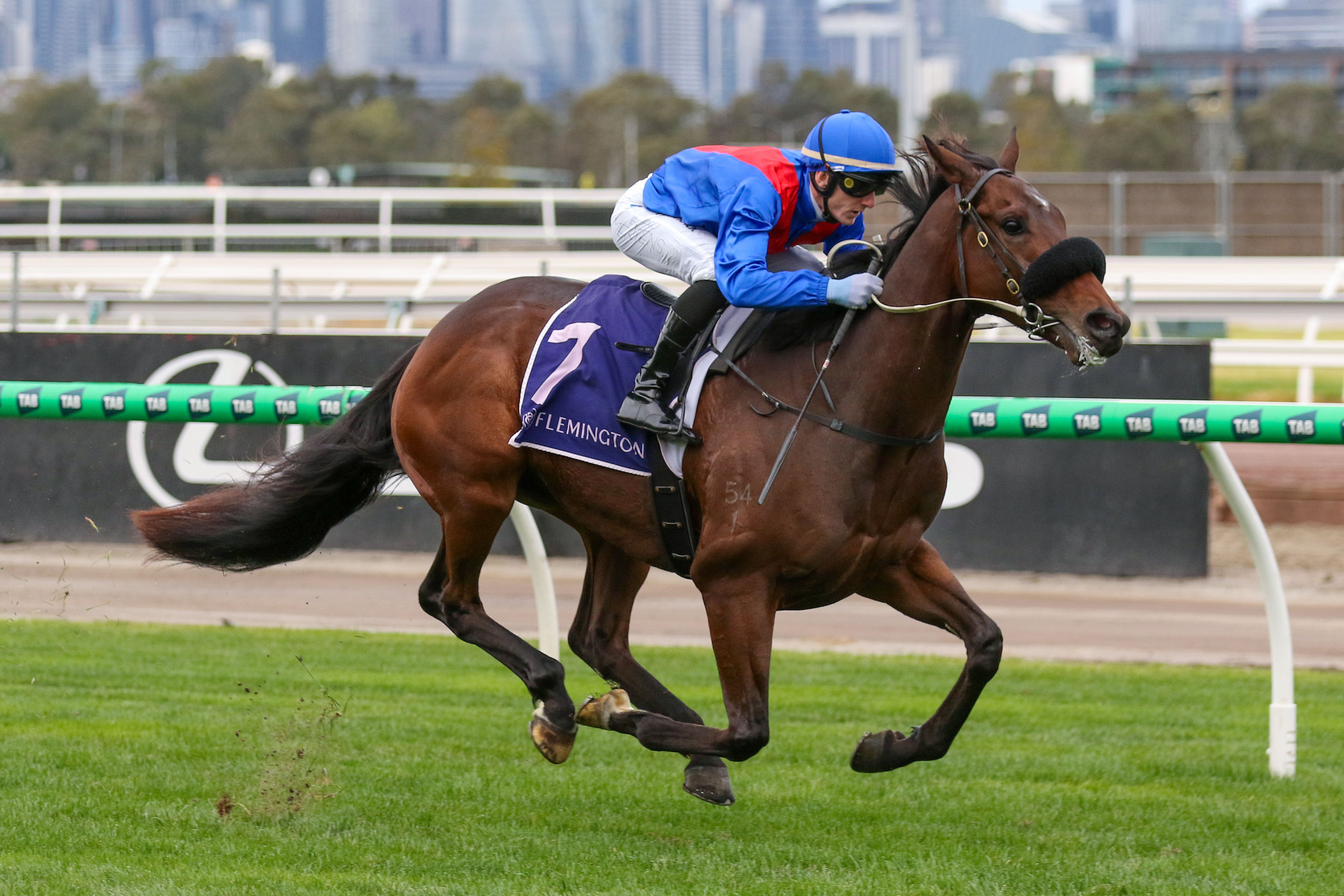 Taken leads rivals a merry dance