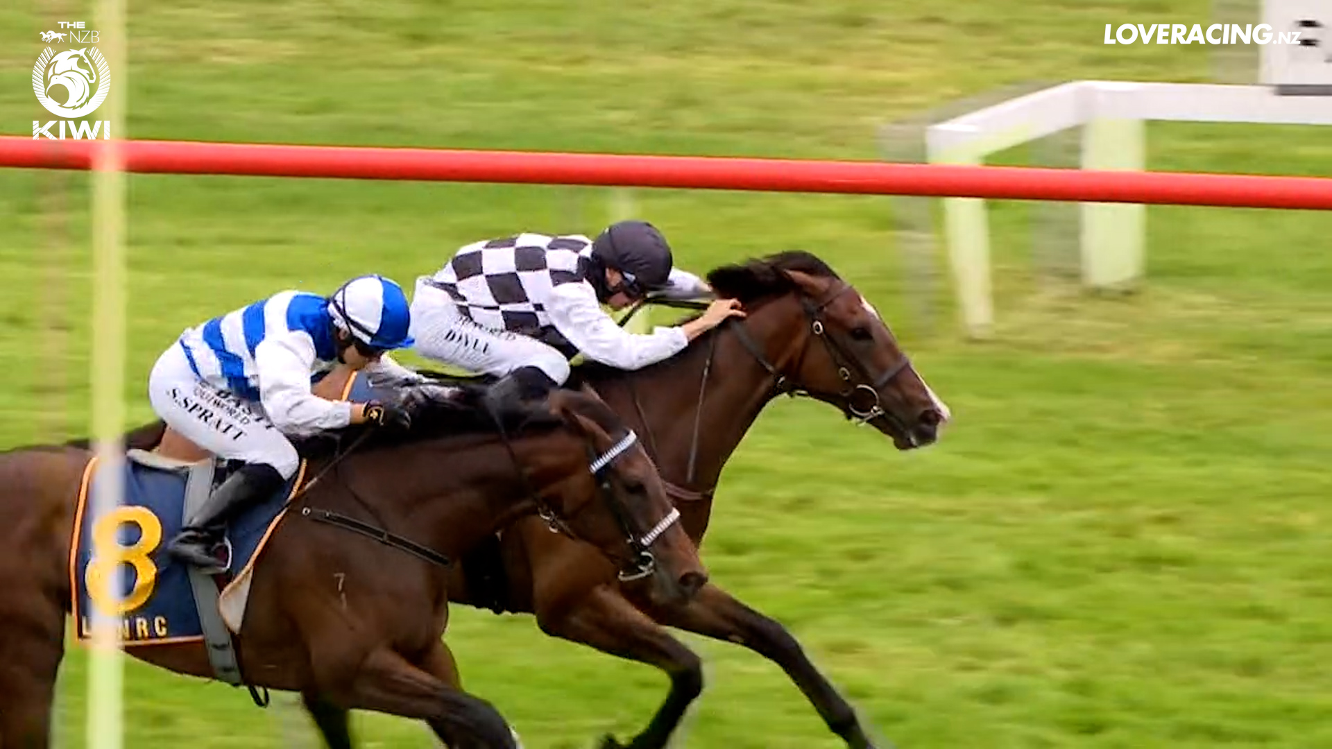 Gr.3 Elsdon Park Wellington Stakes - Tuxedo