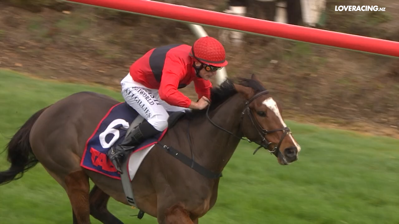 Dictation - Fairview Motors Waikato Hurdle